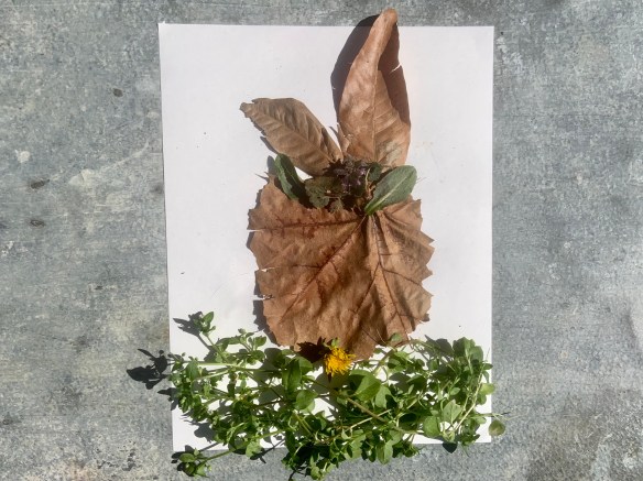 Toddler Activity: Easter Bunny Nature Craft | Grey Skies & Rainbow Highs