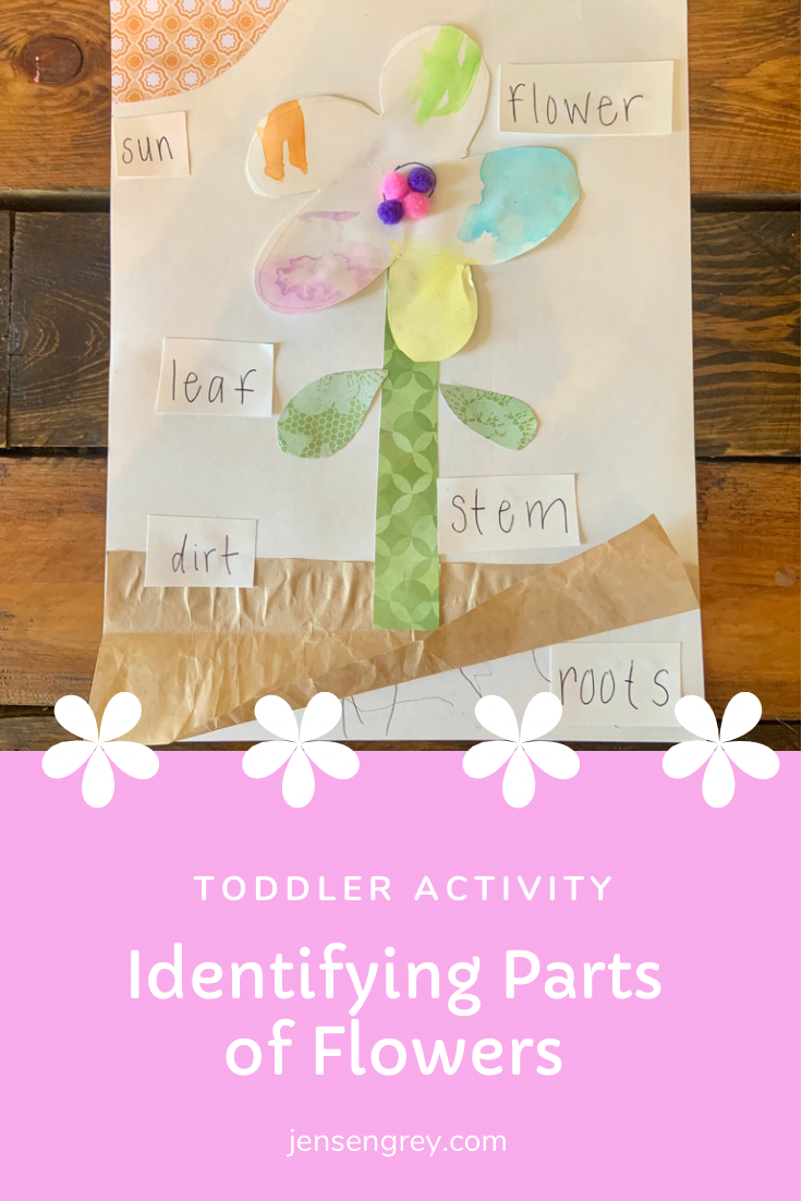 Toddler Activity: Identifying Parts of Flowers | Grey Skies & Rainbow Highs