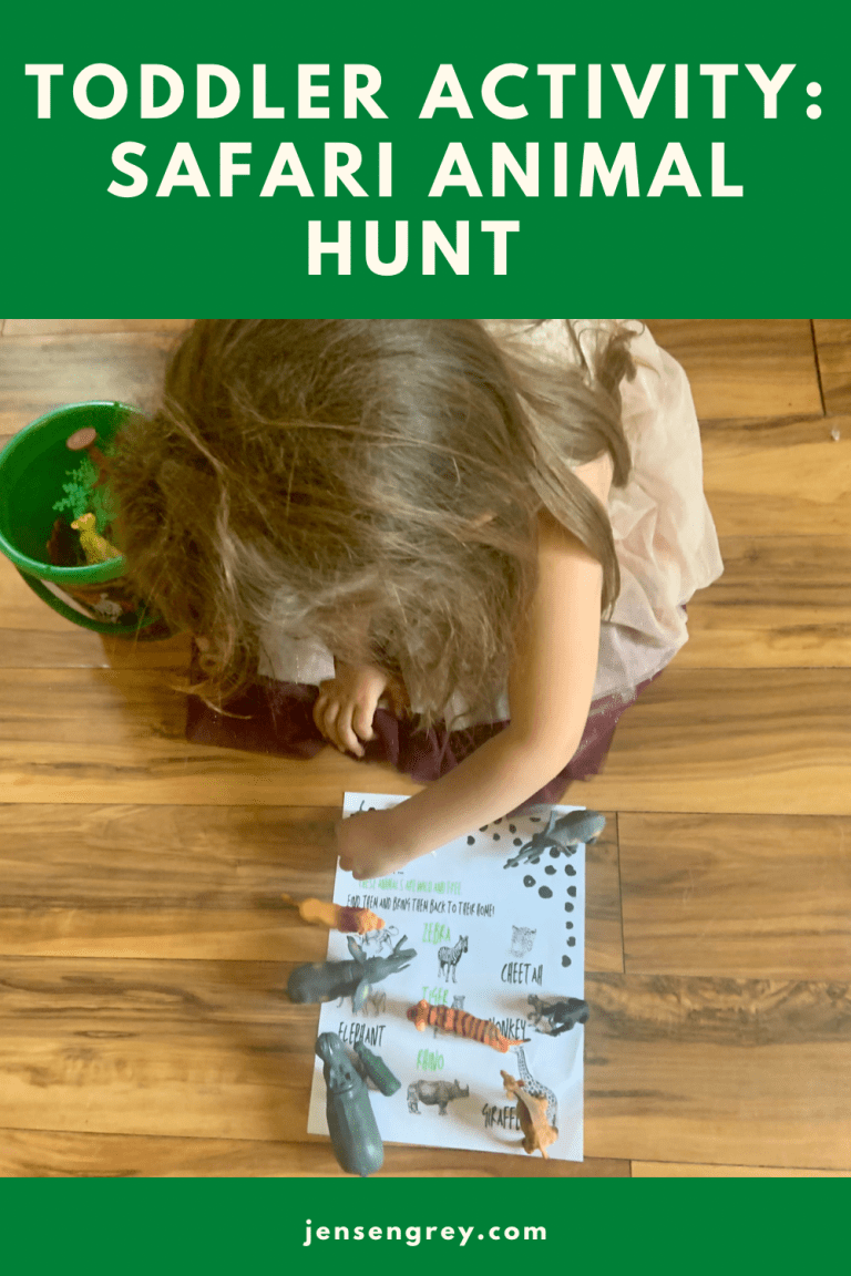 Toddler Activity: Safari Animal Hunt | Grey Skies & Rainbow Highs
