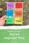 Toddler Activity: Nature Scavenger Hunt | Grey Skies & Rainbow Highs