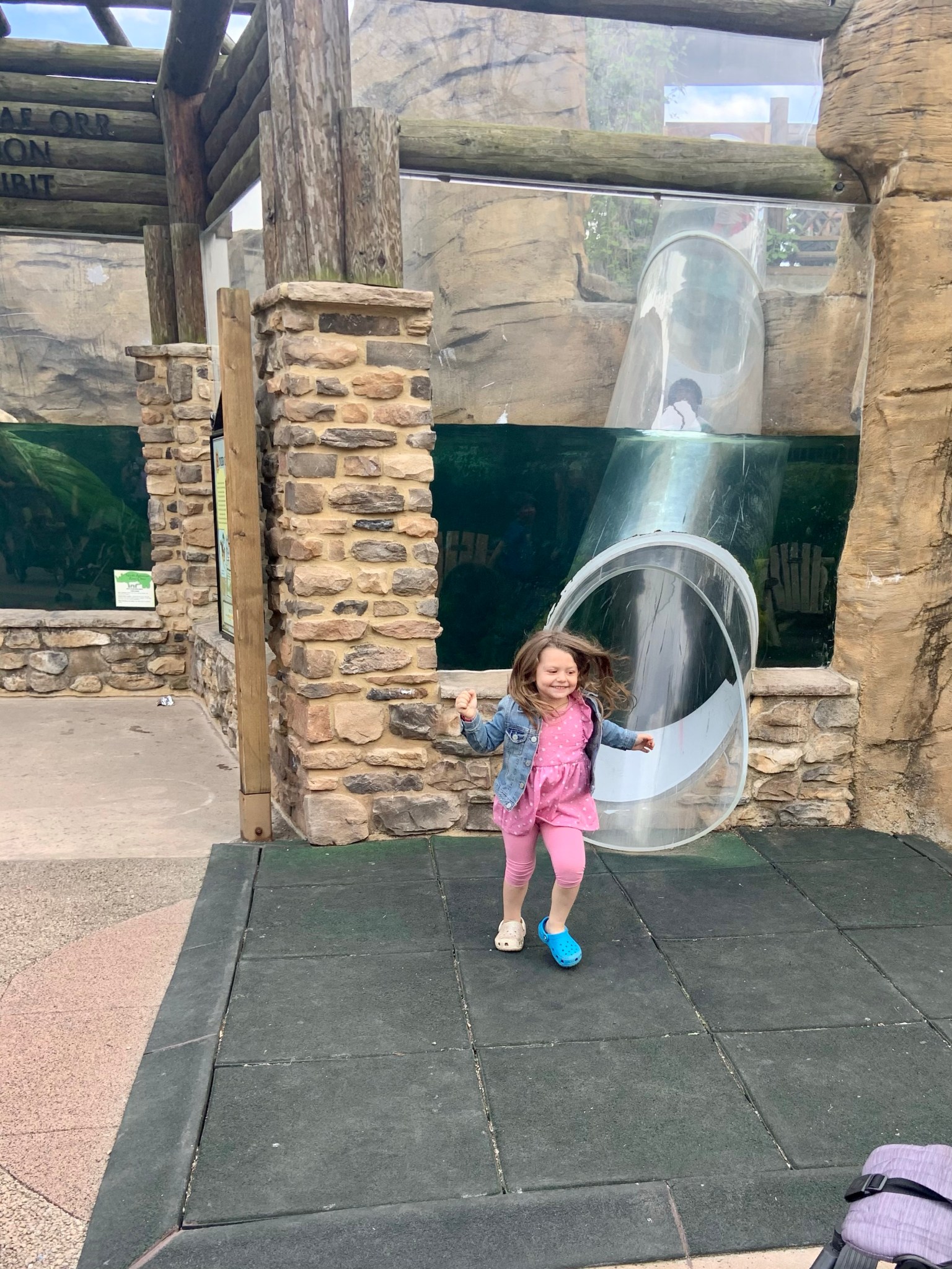 5 Reasons We Love the Akron Zoo. | Grey Skies & Rainbow Highs