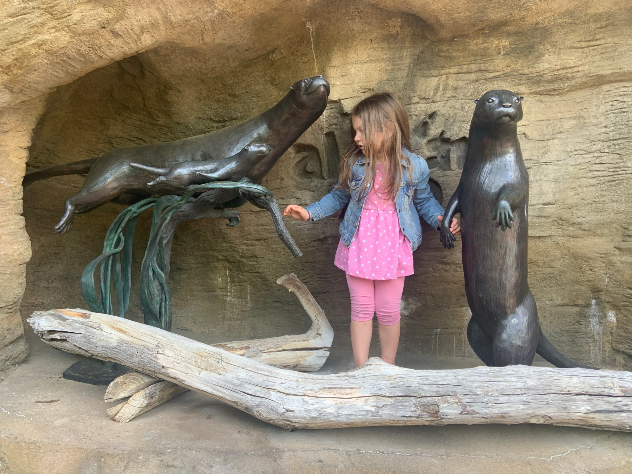 5 Reasons We Love the Akron Zoo. | Grey Skies & Rainbow Highs