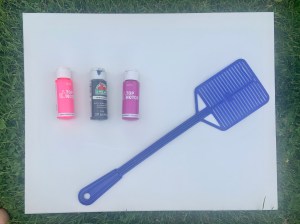 Toddler Activity: Flyswatter Painting | Grey Skies & Rainbow Highs