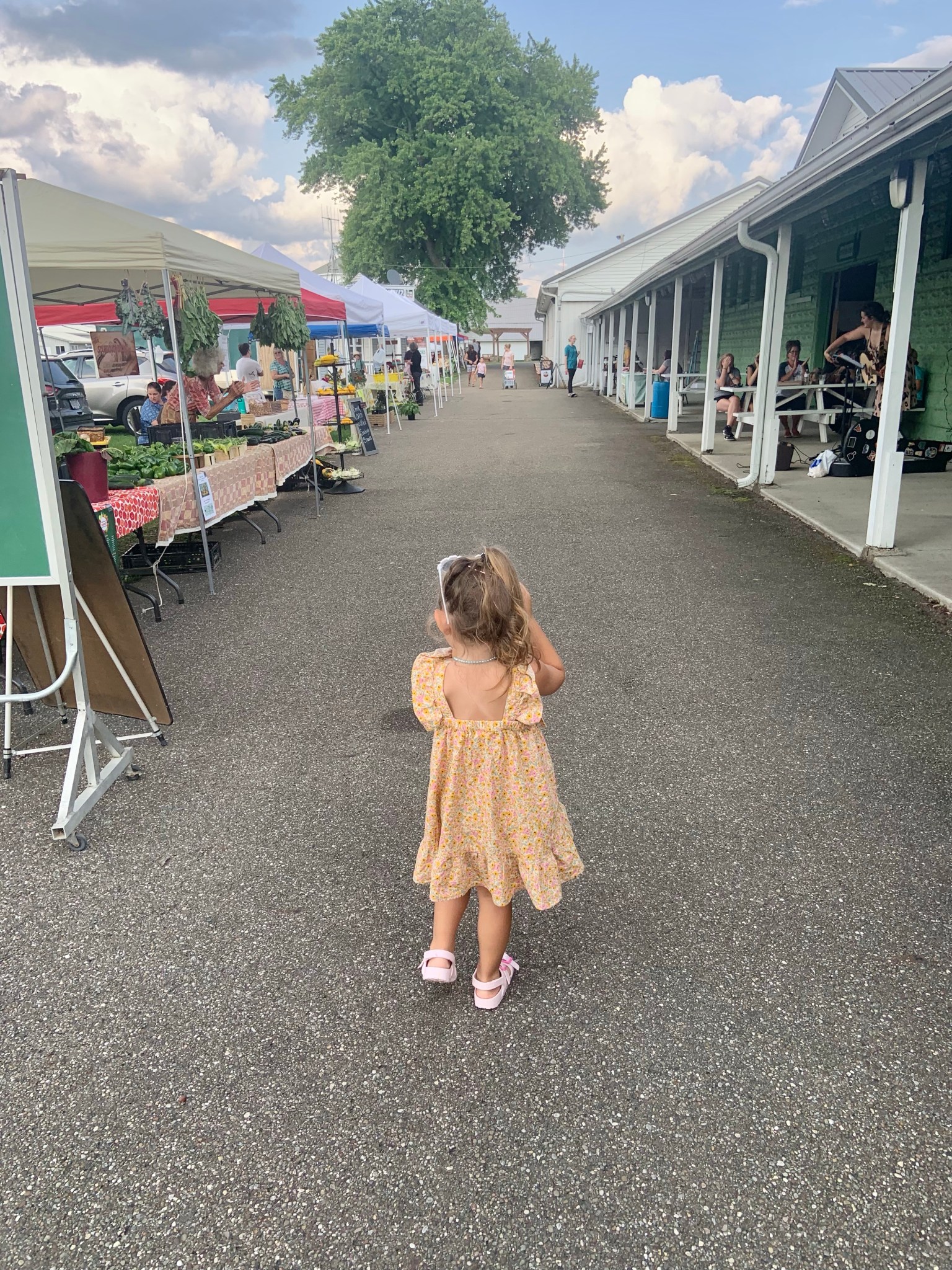 Support Local: Tuscarawas Valley Farmers Market | Grey Skies & Rainbow ...