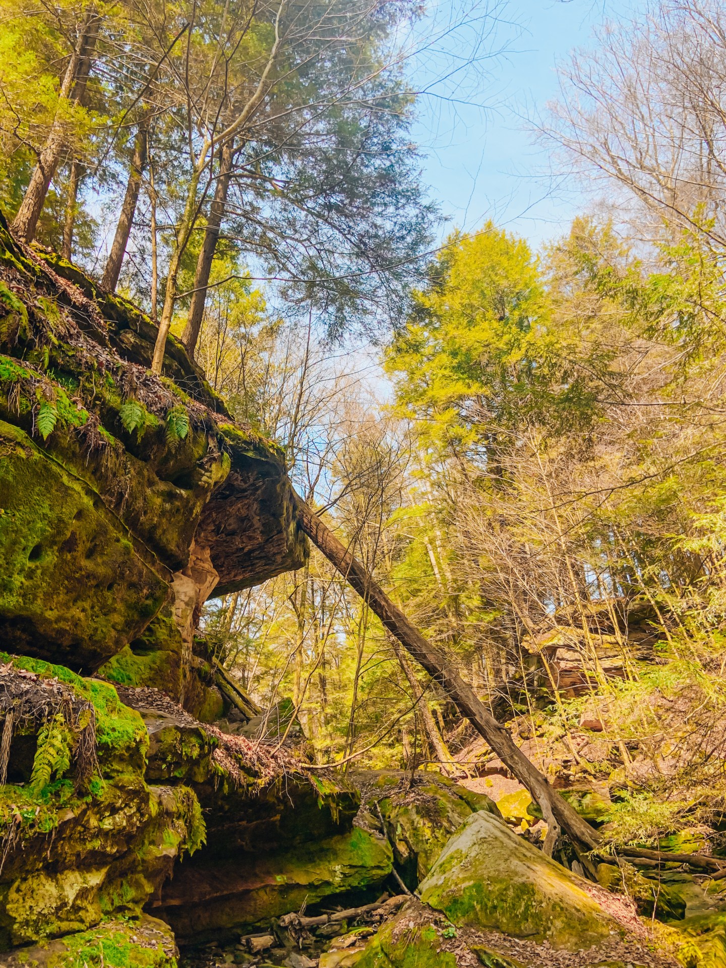 Explore Dundee Falls in Dundee, Ohio. | Grey Skies & Rainbow Highs