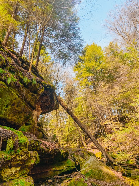 Explore Dundee Falls in Dundee, Ohio. | Grey Skies & Rainbow Highs
