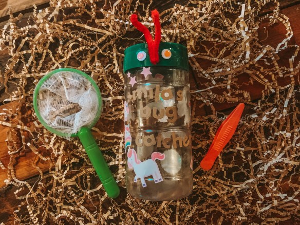 DIY Bug Catcher | Grey Skies & Rainbow Highs