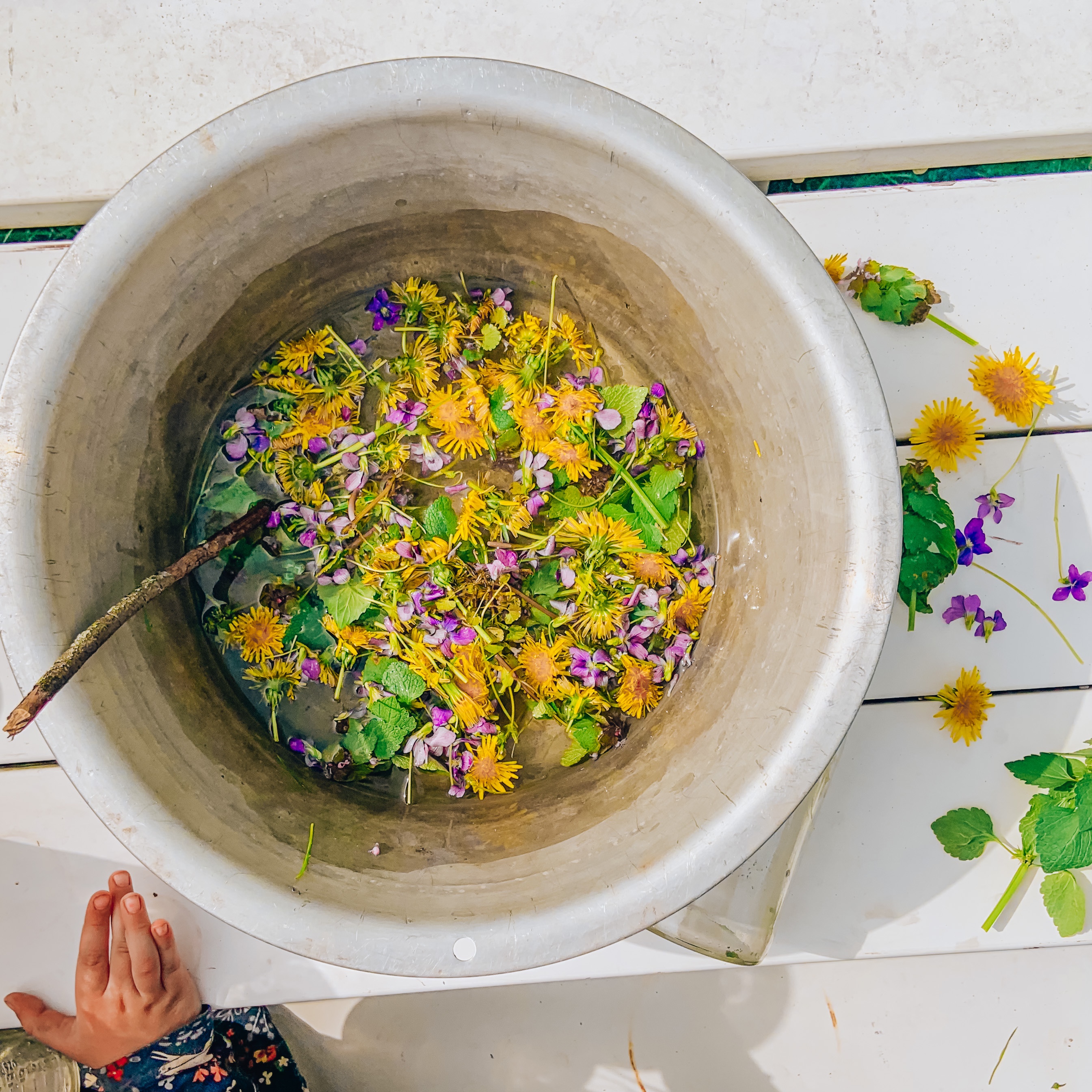 Flower Potion/Soup | Kid Activity | Grey Skies & Rainbow Highs